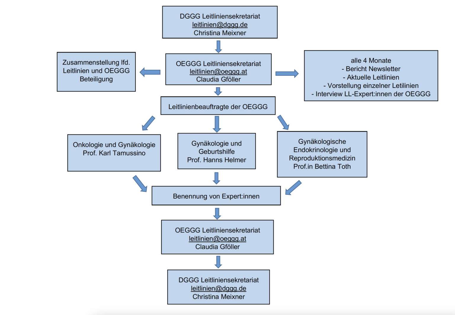 LEITLINIEN – oeggg